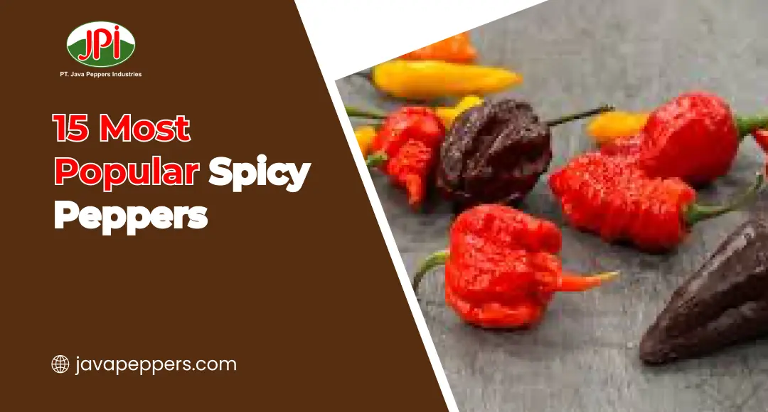 15 Most Popular Spicy Peppers - Java Peppers Industries